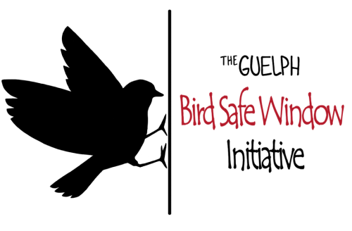 Bird Proof Your Windows – The Guelph Bird-safe Window Initiative