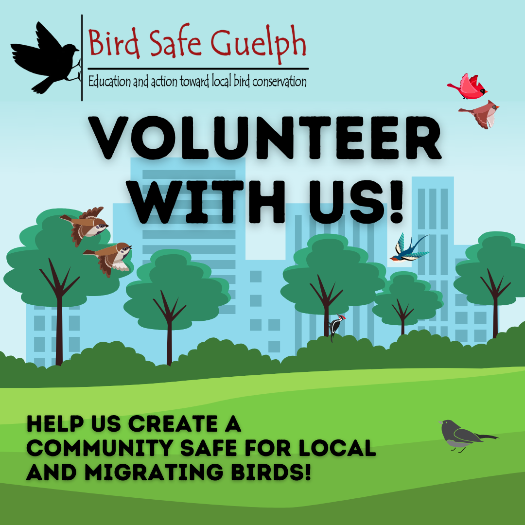 The Guelph Bird-safe Window Initiative – Education and action toward ...